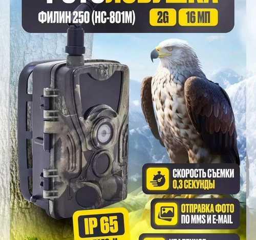 Фотоловушка для охоты и охраны дачи HC-801M