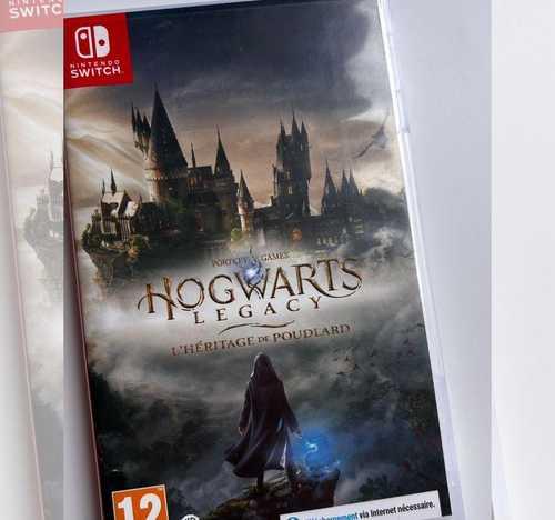 Nintendo switch hogwarts legacy