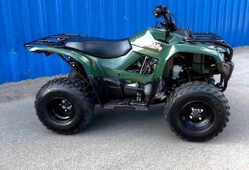 Yamaha grizzly 300