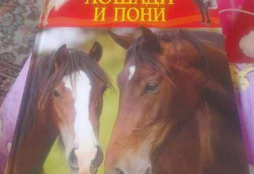 Книга про лошадей