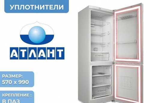 Уплотнитель Холодильника Атлант 570х990мм