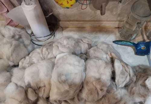 Собачья шерсть продажа