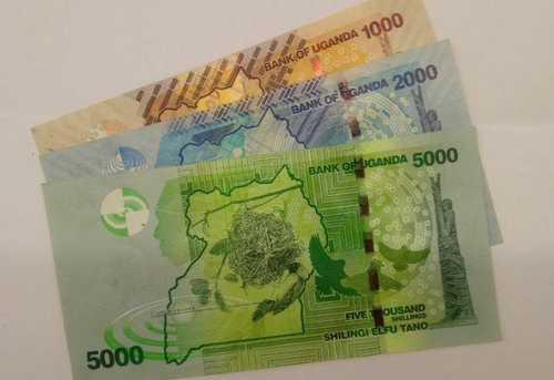 Подарочный набор банкнот Уганды