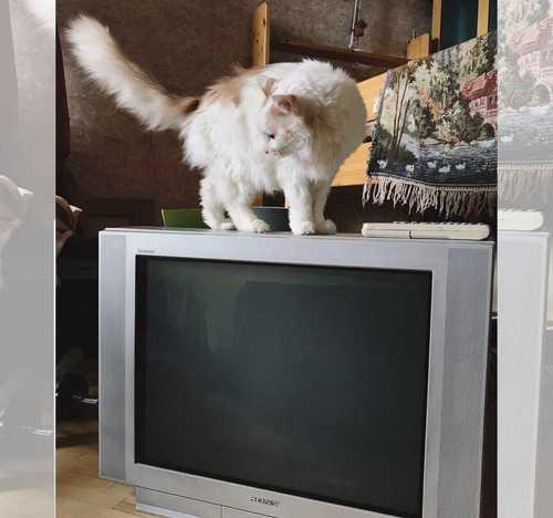 Телевизор Sony KV-29FX30K