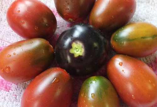 Семена томатов из личной коллекции