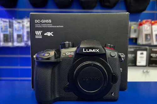 Panasonic Lumix GH 5 S Body (гарантия) id-1417