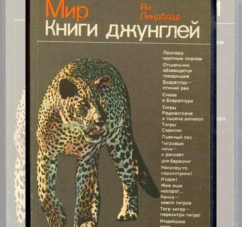 Мир Книги джунглей