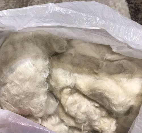 Собачья шерсть продажа