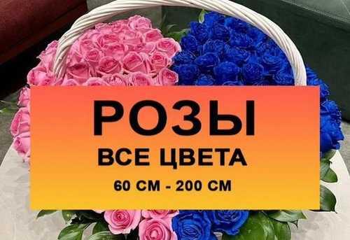 101 роза с доставкой по Москве
