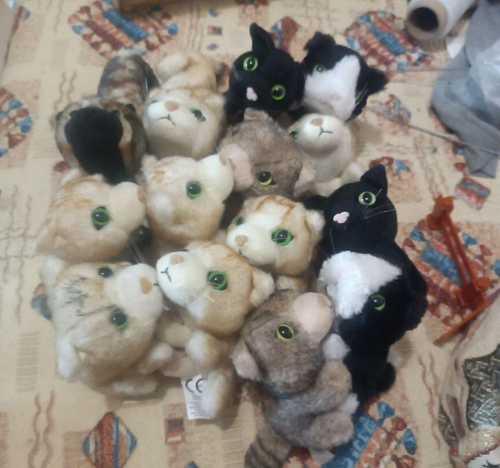 The cat collection