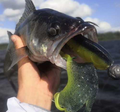 Силиконовые приманки Fish Feast