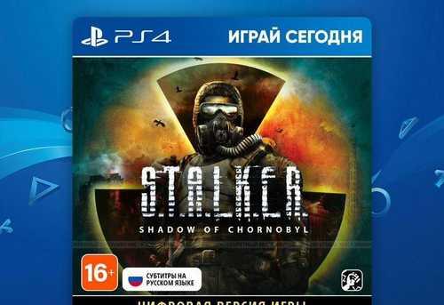 Сталкер Тень чернобыля PS4