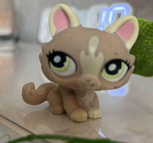 Littlest pet shop