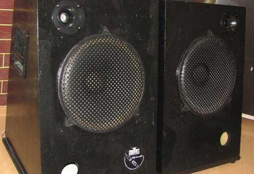 Колонки Pyramid 600+600W 2шт Pro Acoustic EVM-15"8