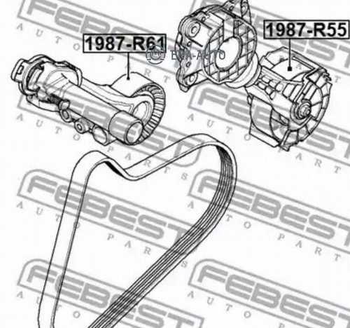 Febest 1987R55 ролик натяжной\ Mini R55-59 05-13