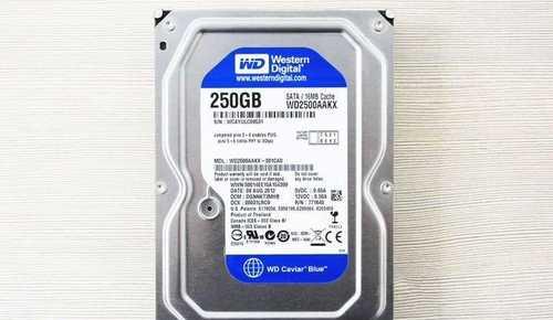 Жёсткий диск 250 GB WD Blue для компьютера