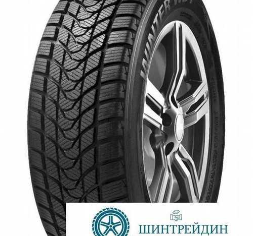 Delinte Winter WD1 205/65 R16 95T
