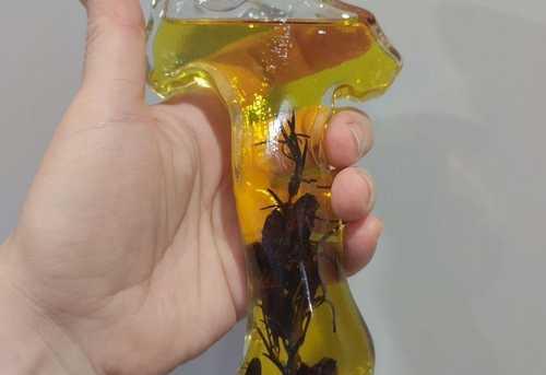Бутылка стеклянная с маслом