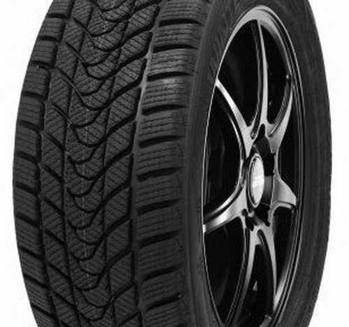 Delinte Winter WD1 215/55 R17 94T
