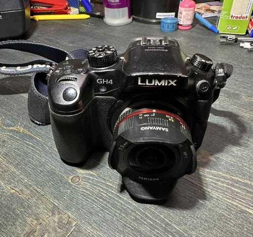 Panasonic Lumix DMC-GH4 + объек. фишай. Пробег 678