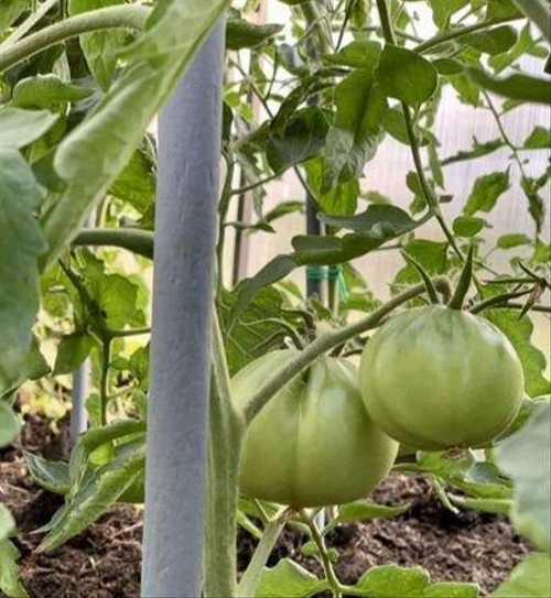 Колышки садовые для помидор гороха перца огурцов