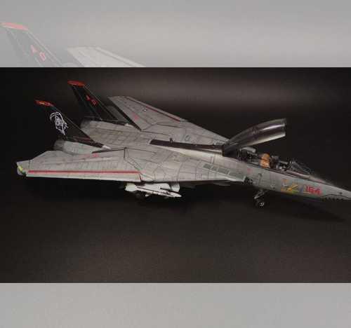 Модель самолета f-14D tomcat