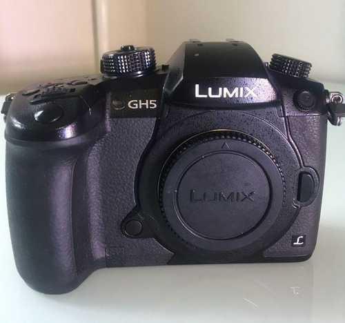 Panasonic lumix GH5