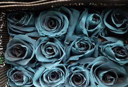 Букет Роз Эквадор, необычные Розы