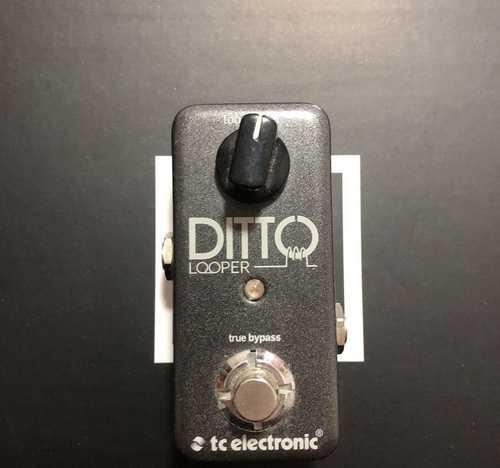 Гитарная педаль Ditto looper TC Electronic