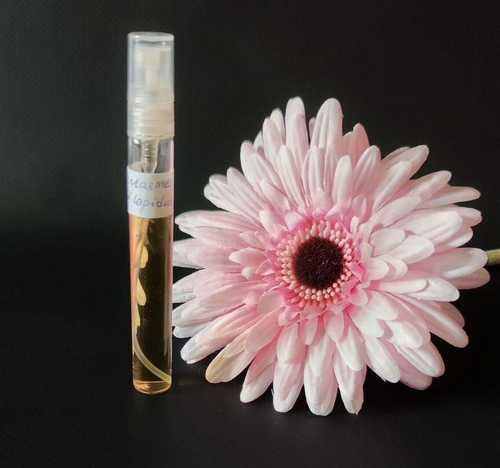 Fantasme Ted Lapidus 10 ml