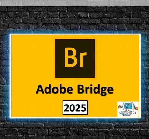 Adobe Bridge 2025. Бессрочно