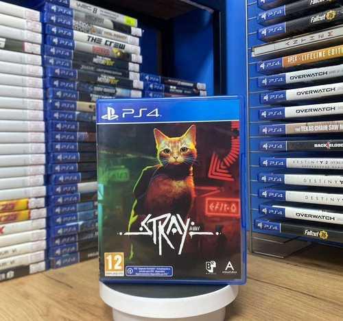 Stray ps4