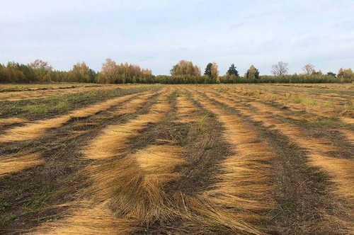 Безопасный утеплитель из растительного волокна Льн