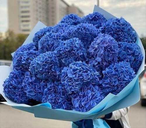 Букет из 25 синих гортензий, цветы доставка