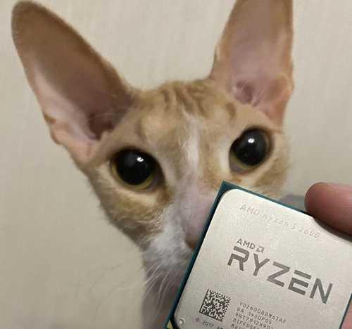 Процессор Amd ryzen 5 2600