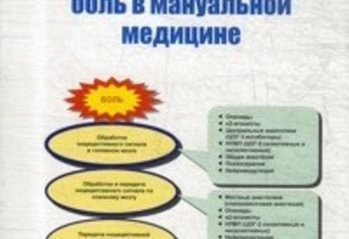 Боль принципы терапии, боль в мануальной медицине