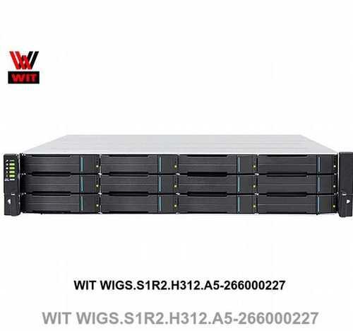Схд WIT wigs.S1R2.H312.A5-266000227