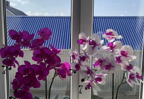 Изящная пара Орхидея как "живая"