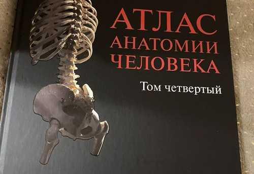 Атлас анатомии человека