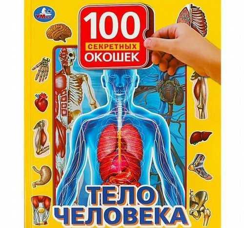 Тело человека 100 окошек для малышей Умка