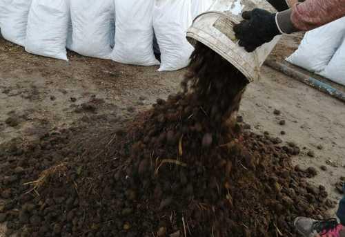 Конский навоз в мешках (25 литров)