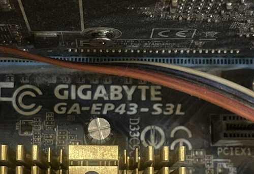 Материнская плата gigabyte ga-ep43-s3l