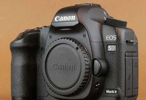 Canon EOS 5D Mark II (id 06396) Shutter 17900