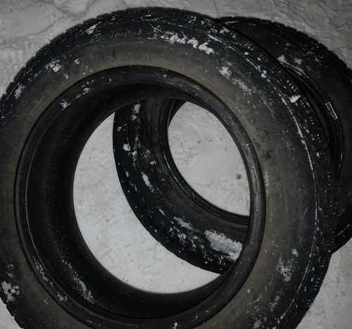 Nokian Tyres All Weather  185/50 R15
