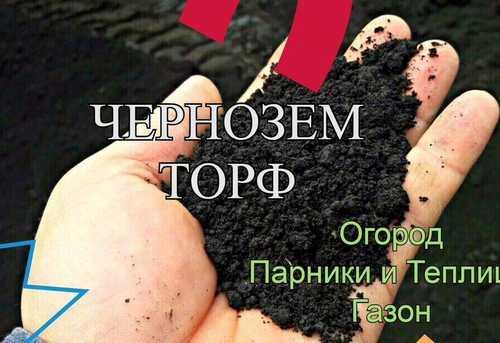 Чернозем