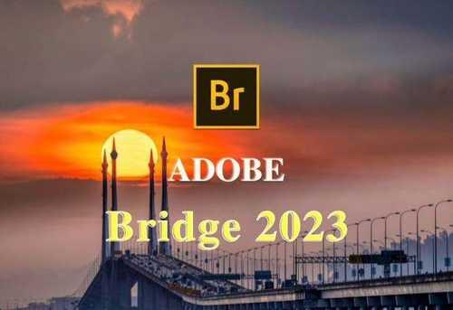 Adobe Bridge 2023. Бессрочно. Адоб Бридж
