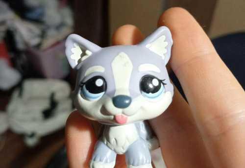 Littlest Pet Shop lps лпс