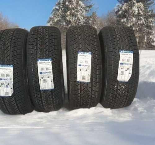 Triangle WinterX TW401 205/45 R17 87V