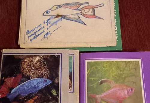 Набор открыток СССР аквариумные рыбы