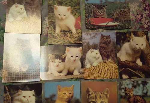 Набор чистых открыток Котята 11 шт.ГДР 1980 г